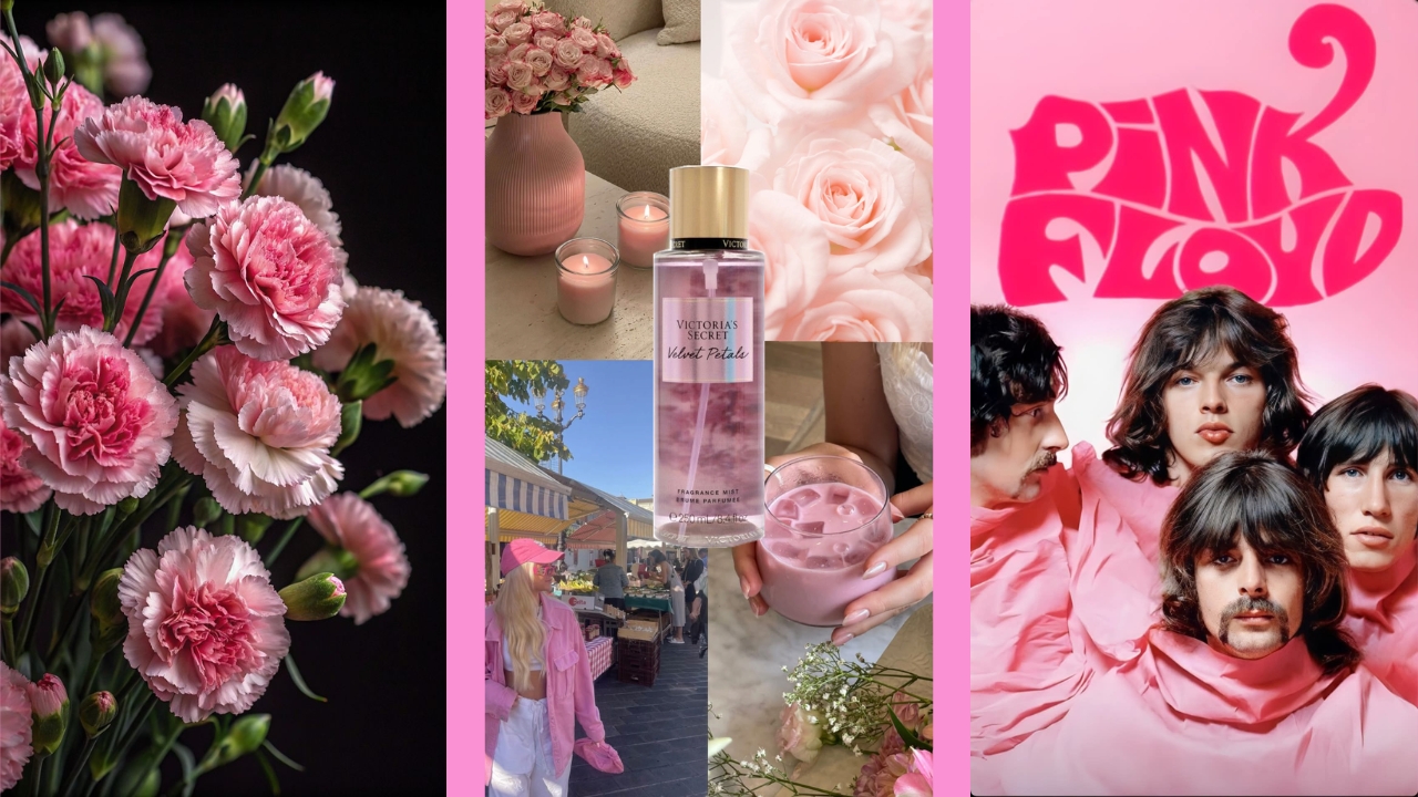 The History of the Colour Pink: From Power to Playfulness